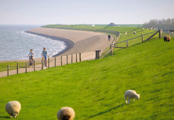 Bermen en dijken - Ten Have Seeds