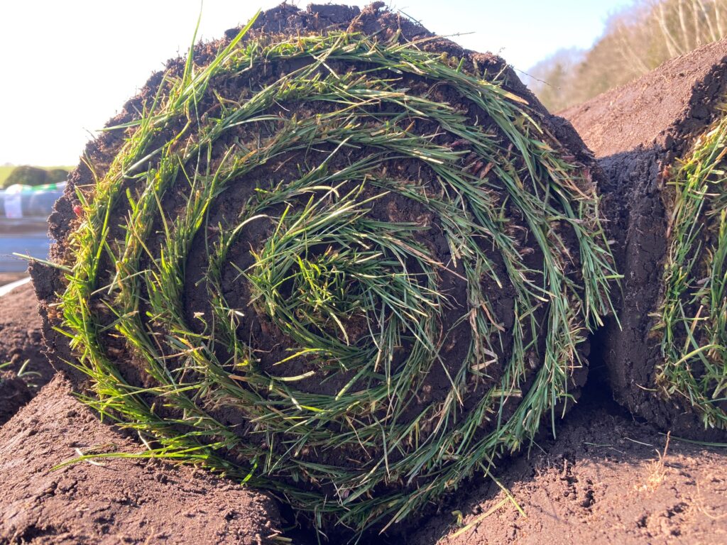 Graszoden - Ten Have Seeds