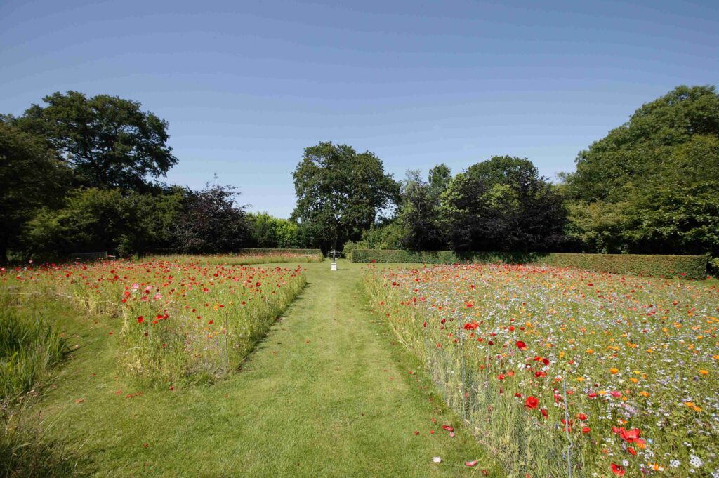 Openbaar groen & tuinen - Ten Have Seeds