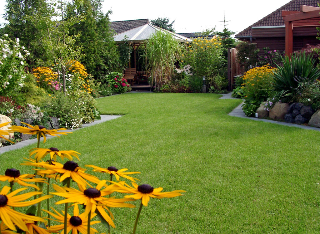 Openbaar groen/gazon - Ten Have Seeds